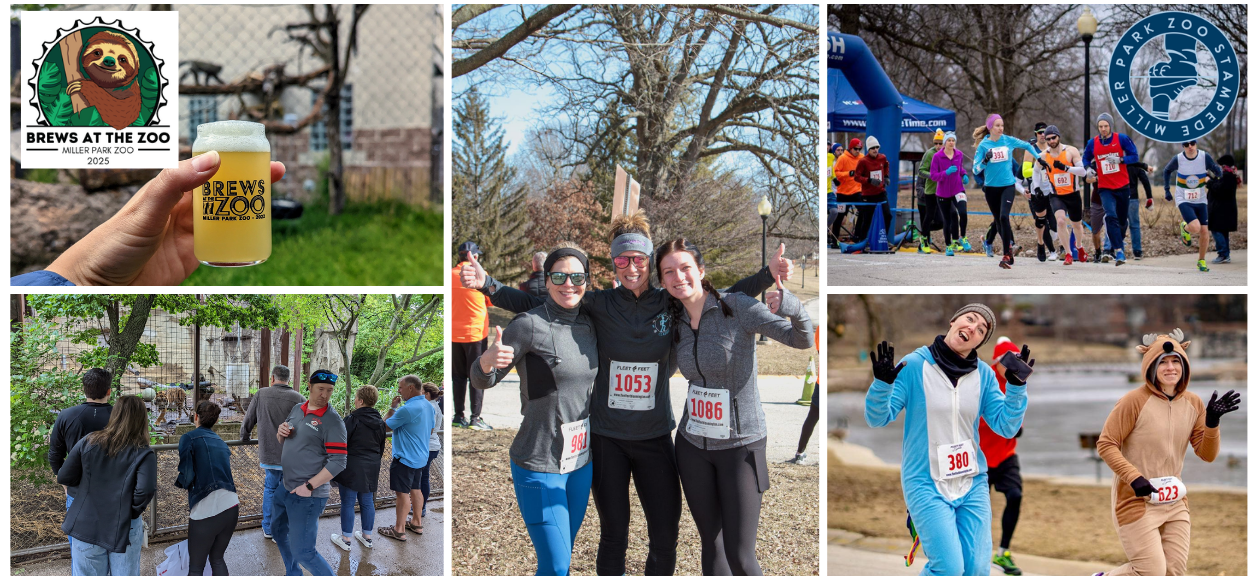 Miller Park Zoo: Engaging the Community with Races & Events - RunSignup